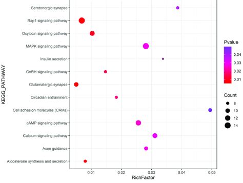 Bubble Plot Of Kegg Pathway Enrichment Analyses Download Scientific