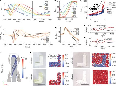 Optical Properties Of The Bowtie Particles A Normalized CD Spectra For