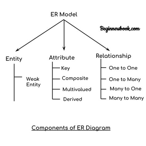 Components Of E R Diagram Er Entity Dbms Relationship Notati