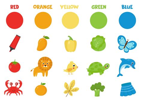 Set Of Colorful Objects Learning Basic Colors For Preschoolers