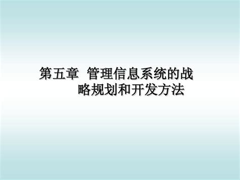05管理信息系统的战略与开发 Word文档在线阅读与下载 无忧文档