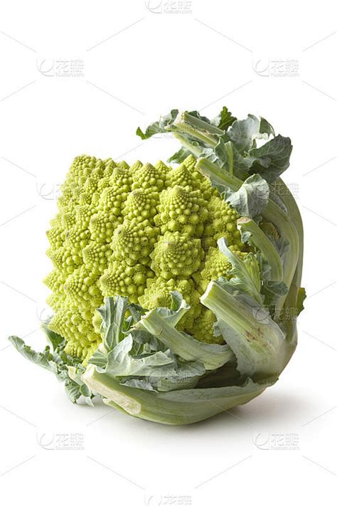 蔬菜白色背景上孤立的罗马花椰菜