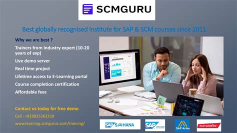 Sap Ibp Online Course Techguru