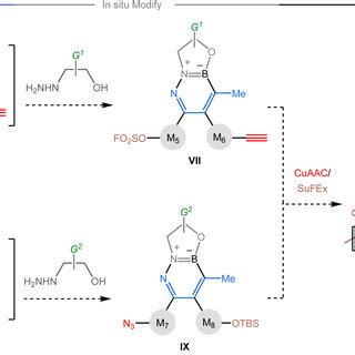 Merger Of CuPDF CuAAC And SuFEx For Synthesis Of A Non Uniform