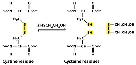 Sds Page For Protein Resolution