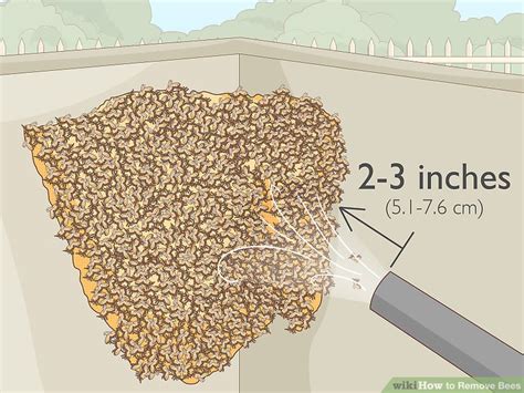 Ways To Remove Bees WikiHow