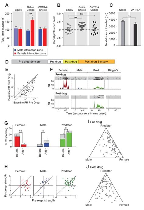 Oxytocin Signaling In The Medial Amygdala Is Required For Sex