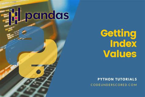Python Exit Codes Code Underscored