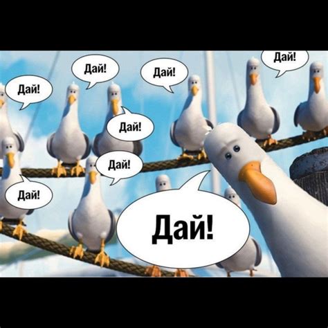 чайки дай дай Создать мем Meme
