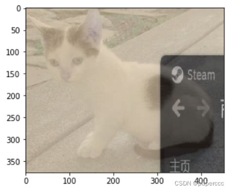 小白成长之路 Opencv And Yolo（day2yolo支持直接处理cv2打开的图片 Csdn博客