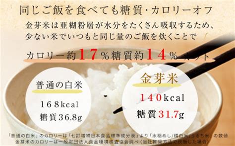 金芽米ハイセレクト9kg（ 45kg × 2 ）【 Bg無洗米 無洗米 東洋ライス お米 米 コメ 和歌山県 和歌山市 Cq32