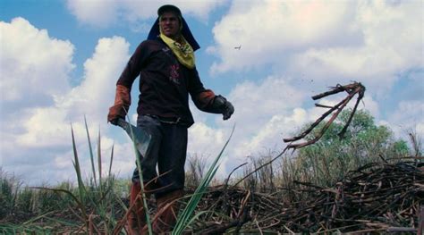 The Global Virus Impact Hits Brazils Ethanol Production Sugar Asia