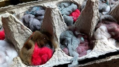 4 Survival Uses For Dryer Lint Turn Your Clothes Lint To Survival And