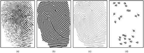 Minutiae Based Fingerprint Extraction And Recognition Intechopen