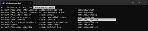 Executing Sap Hana Cloud Tasks From The Command Line Sap Tutorials