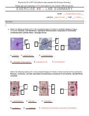 Exercise 8 Done Pdf Review The Ex 8 PPT And Video To Help Complete
