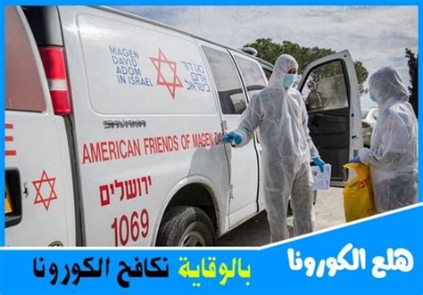 كوروناتقديرات في وزارة التربية والتعليم تعطيل المدارس بدءًا من غد