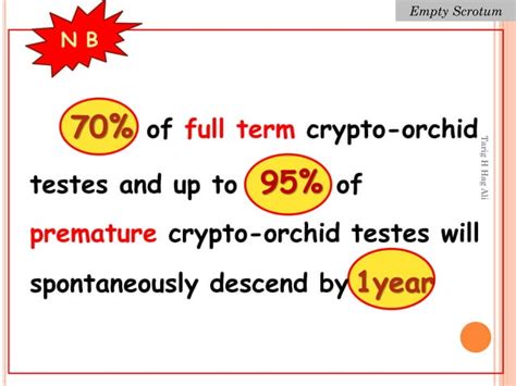 Empty Scrotum Tutorial Ppt