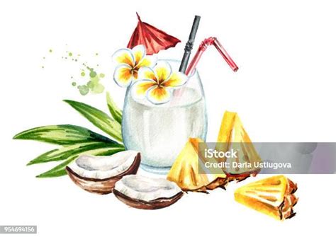피나 콜라 다 칵테일 코코넛과 Pineaple와 함께 흰색 배경에 고립 수채화 손으로 그린 그림 칵테일에 대한 스톡 벡터 아트 및 기타 이미지 Istock