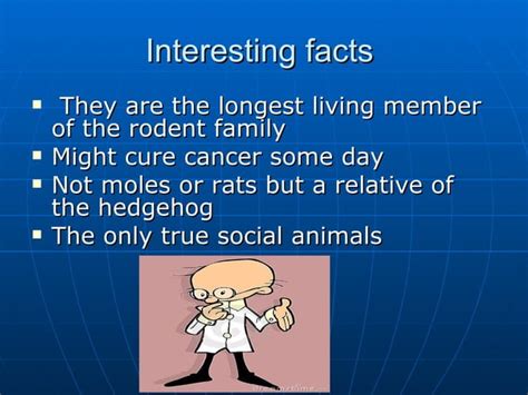 Connor Lalonde Naked Mole Rat PPT