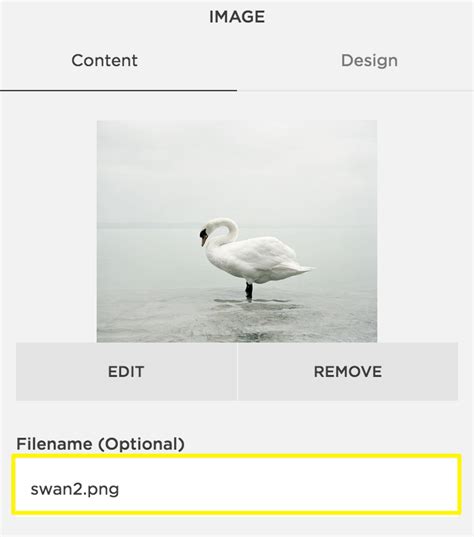 adding alt text to images squarespace help