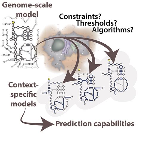 A Systematic Evaluation of Methods for Tailoring Genome-Scale Metabolic Models: Cell Systems