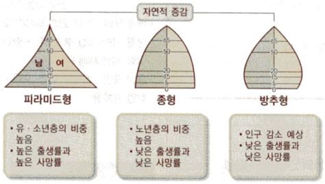 인구 구조인구 피라미드 네이버 블로그