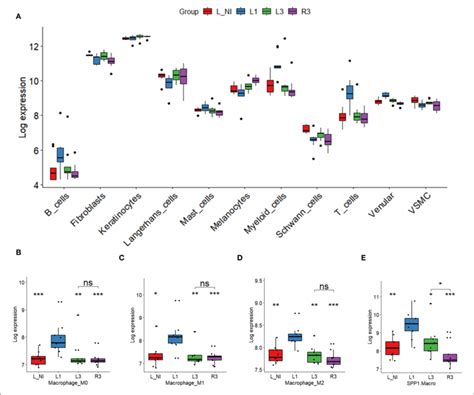 Cell Type Specific Gene Signatures Distribution A Overview Of