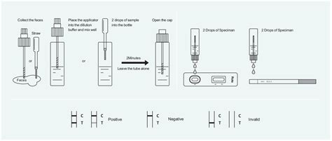 Fanttest Rotavirus Antigen Rapid Test