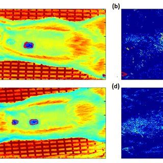 PDF Segmentation Using Near Infrared Imaging An Application To Skin De Oxygenation