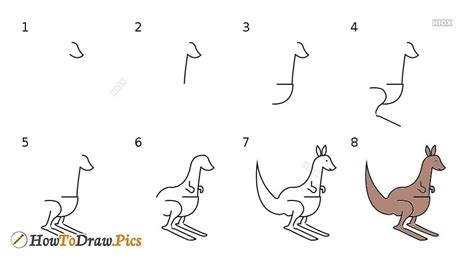 How To Draw A Kangaroo R Howto