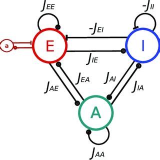 Interactions Between The Three Populations Of The Model E For Download Scientific Diagram