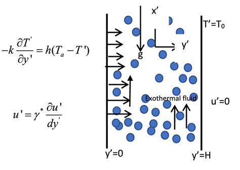 Physical Coordinate Of The Flow System Download Scientific Diagram