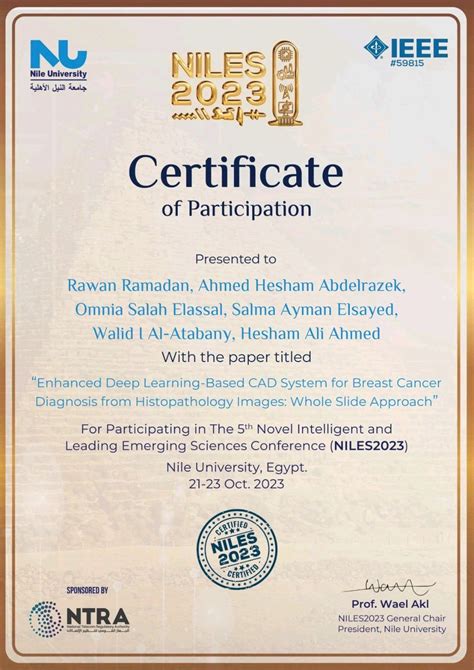 Rawan Gomaa On Linkedin Research Ieee Niles2023 Breastcancerdiagnosis Academicpublication