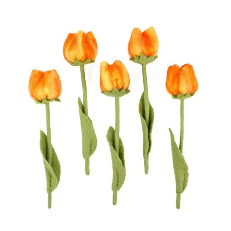 Tulp Olivia Sjaal Met Verhaal Bijzondermooi Bijzondermooi