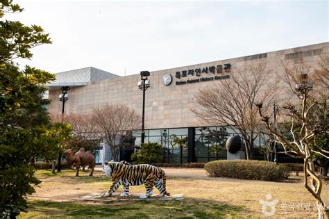 목포자연사박물관 Ko