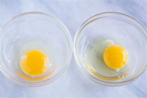 Pasteurized Eggs 101 51 Off