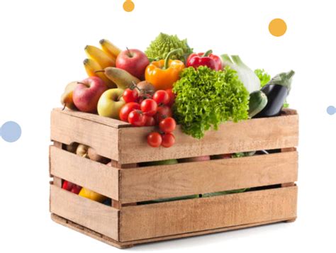 Import Export Wholesale Agricultural Food Products Singapore