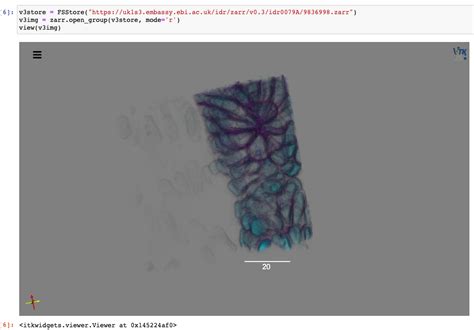 Open Zarr File On M1 · Issue 548 · Insightsoftwareconsortium