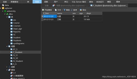 35 《数据库系统概论》之基本表更新（insert、update、alter、delete）与视图view（定义、查询、更新）insert Set Update Set Csdn博客