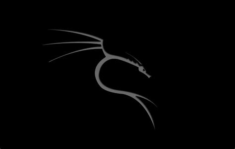 Обои Linux Kali Backgound на телефон и рабочий стол раздел текстуры разрешение 1920x1080