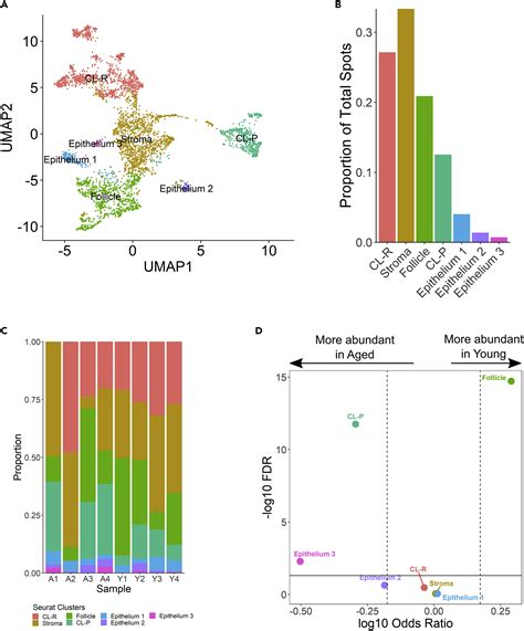 Spatially Resolved Transcriptomic Profiling Of Ovarian Aging In Mice Iscience