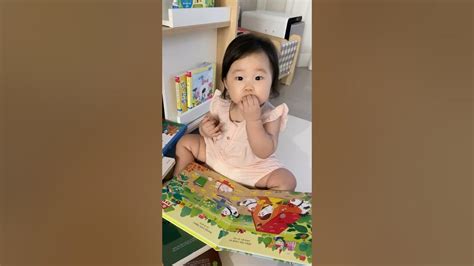 삐약삐약 꼬꼬댁꼬꼬 Youtube