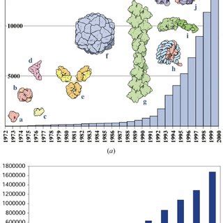 PDF The Protein Data Bank