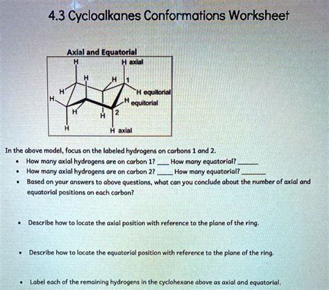 Solved 43 Cycloalkanes Conformations Worksheet Axial And Equatorial