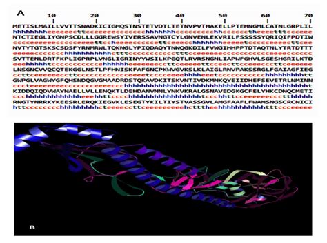 The Primary Sequence Of The Designed Gene Using Genscript Rare Codon Download Scientific