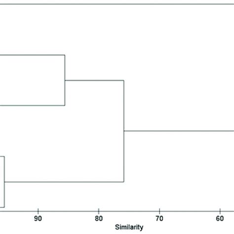 Dendrogram Showing Clustering Of Sampling Sites In The El Bey River