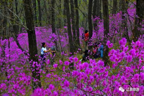 多个免费景点收下这份宝藏攻略带你度过美好假日 澎湃号政务 澎湃新闻 The Paper