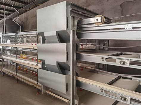 Manual Bird Harvesting Broiler Chicken Cage Hightop® Poultry Equipment