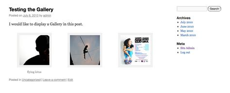 How To Use The Wordpress Gallery Shortcode Web Training Wheels
